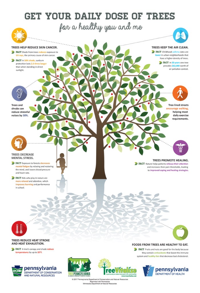 Healthy Trees, Healthy People: Get Your Daily Dose of Trees Campaign
