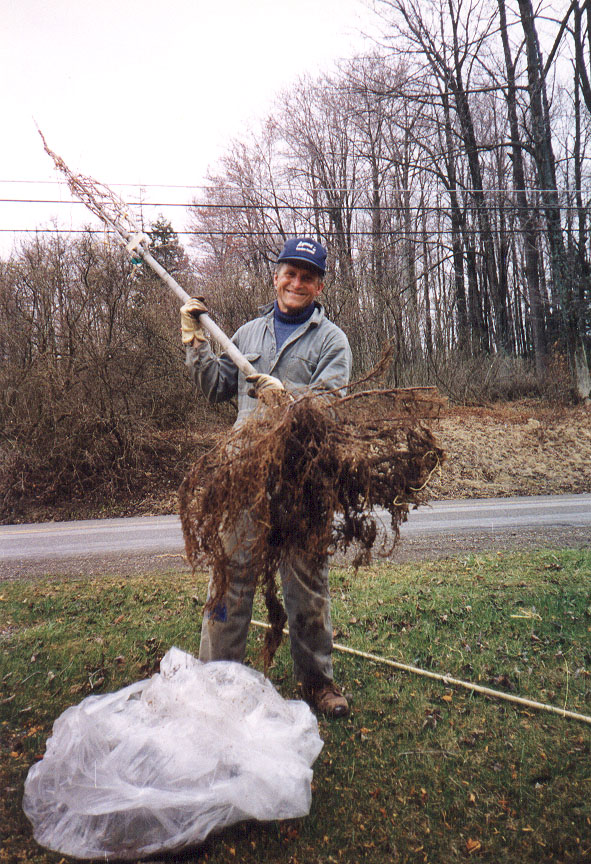 Bare Root Tree Program