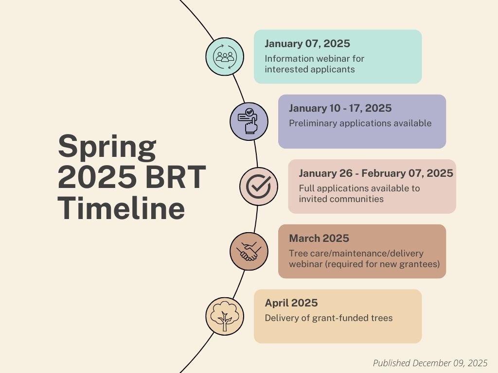Bare Root Tree Program