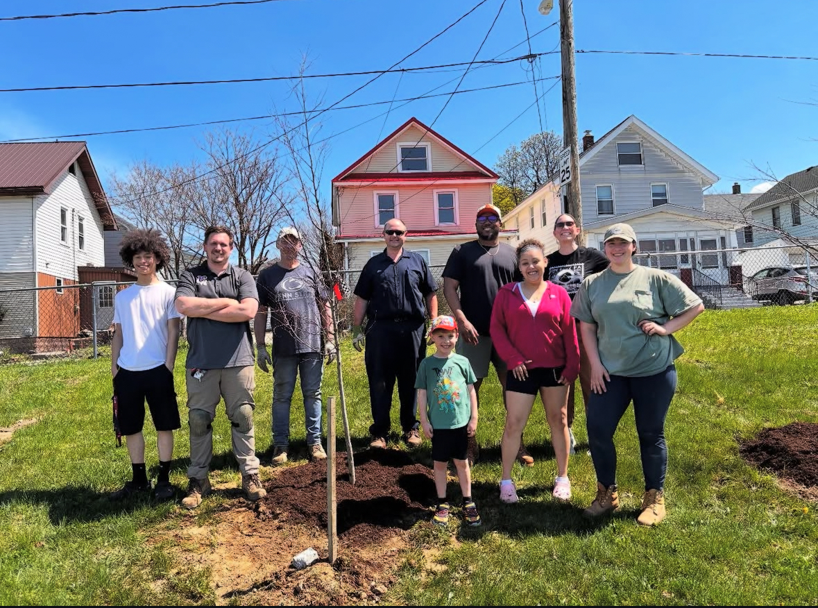 Bare Root Tree Program